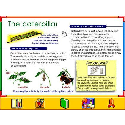 DK: Smart Steps 2nd Grade – Selectsoft