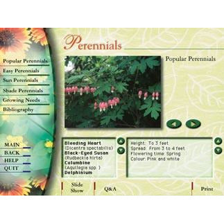 Easy Indoor Gardening – Selectsoft